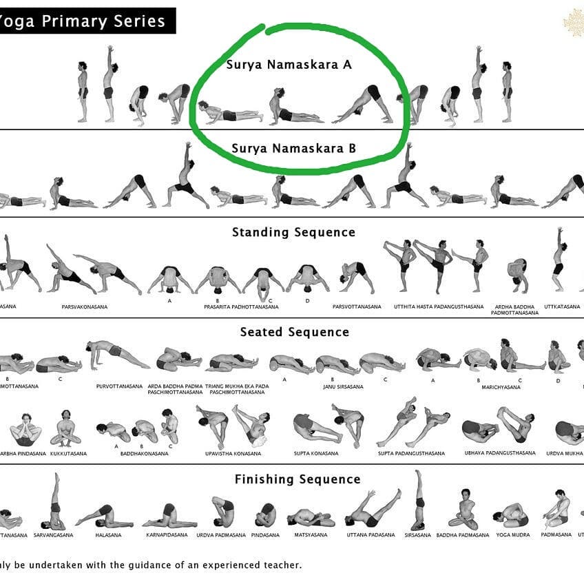 Vinyasa Yoga • Yoghamsa Vinyasa Yoga • Yoghamsa